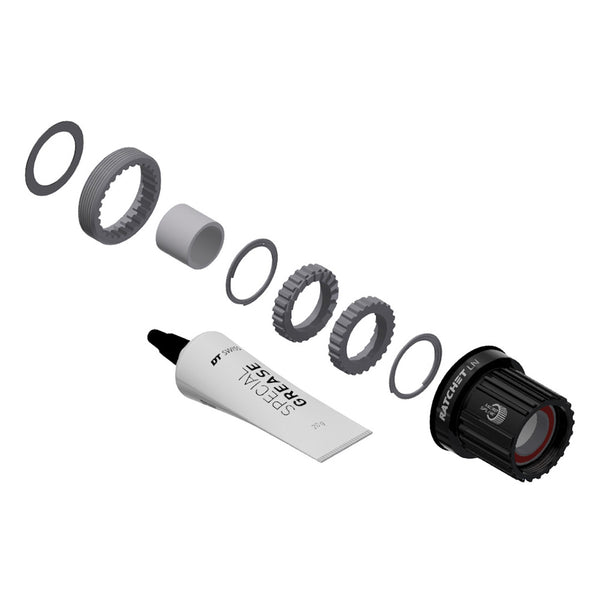 DT Swiss Ratchet LN conversion kit for 3-Pawl hubs - 18 Tooth ...